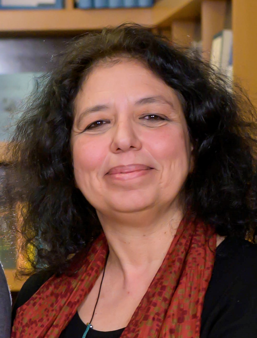 Prof Lilian Mitrou - thelyceumproject